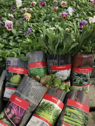 About Awapuni Nurseries | New Zealand