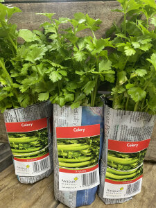 NZ’s Largest Range of Seedlings & Plants Nationwide Delivery | Awapuni ...