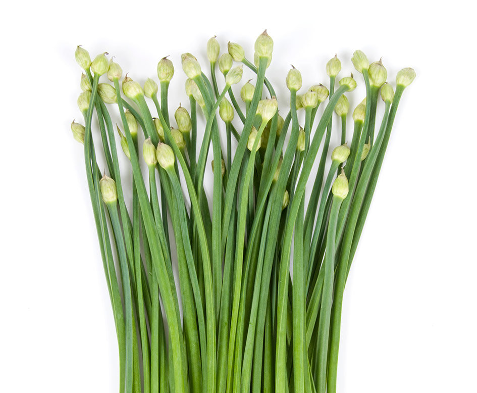 Chives - Garlic - Awapuni Nurseries