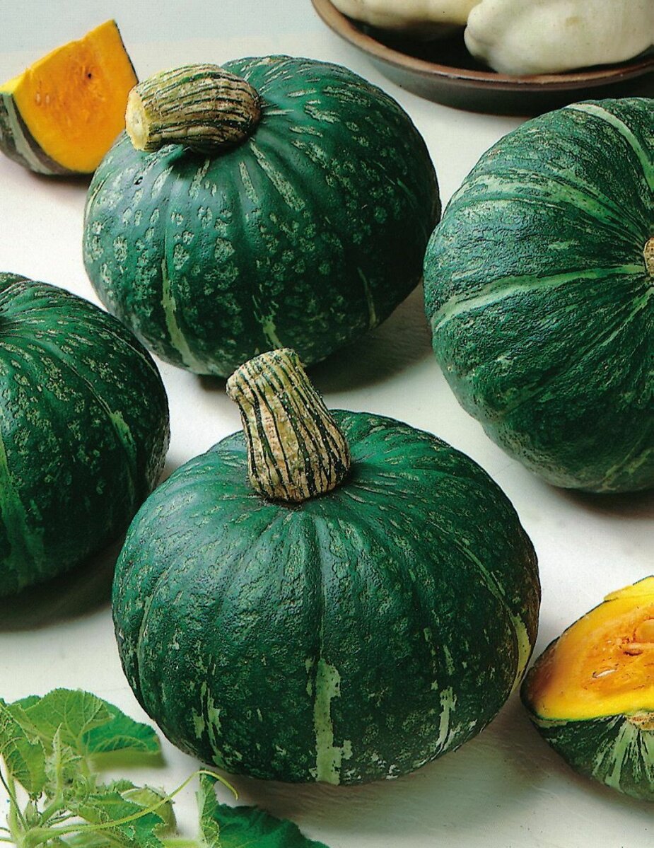 Pumpkin Buttercup NZ Line Seeds - Awapuni Nurseries