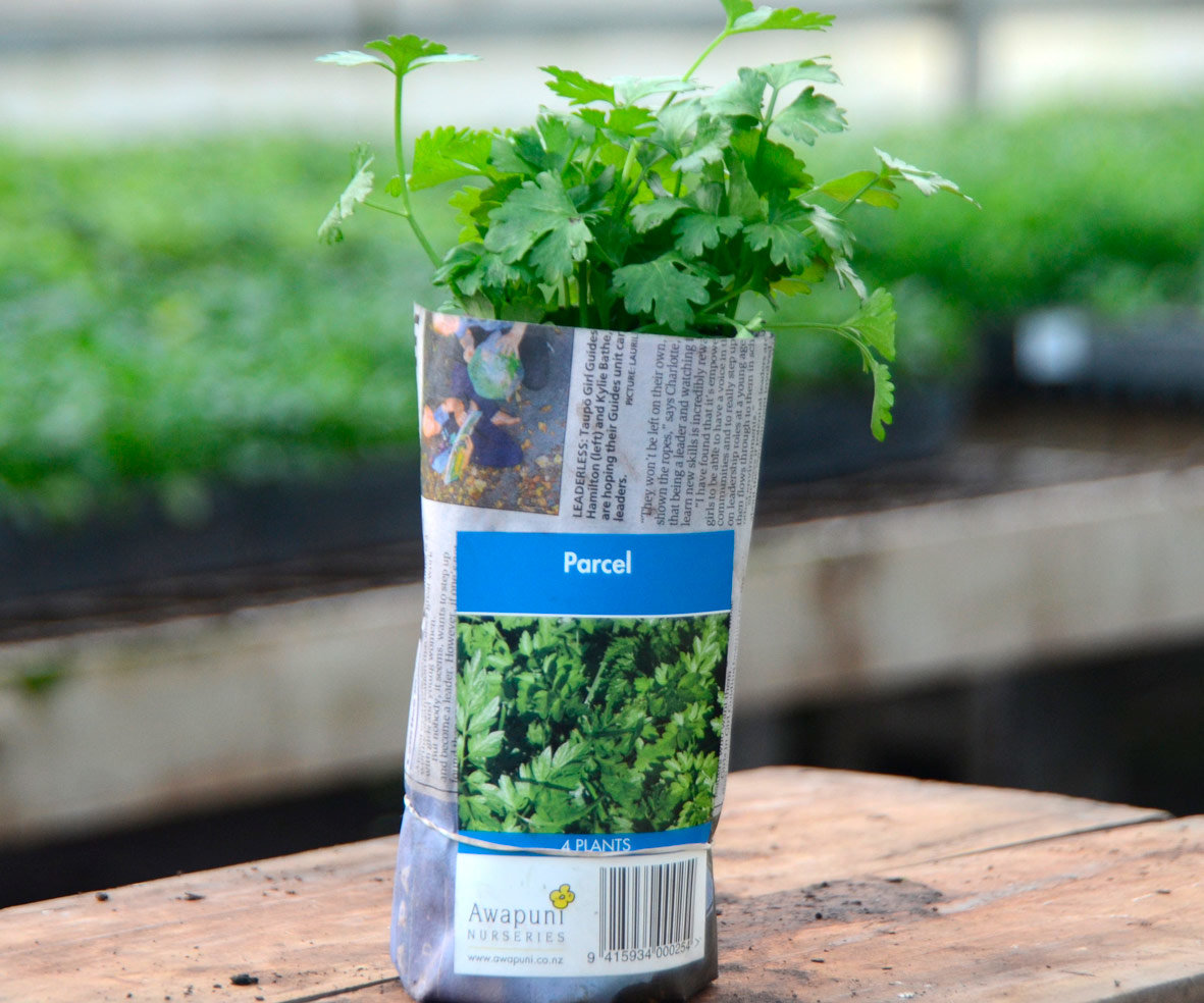 Parcel - Awapuni Nurseries