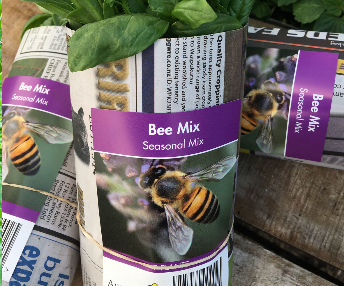 Bee Mix - Awapuni Nurseries
