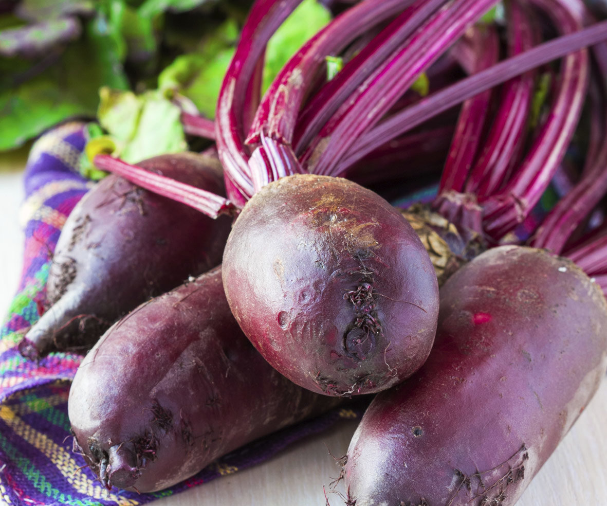 Beetroot - Cylindra - Awapuni Nurseries