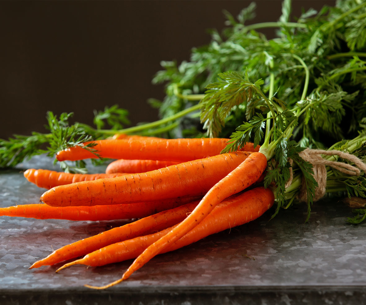 Carrot - Manchester Table - Awapuni Nurseries