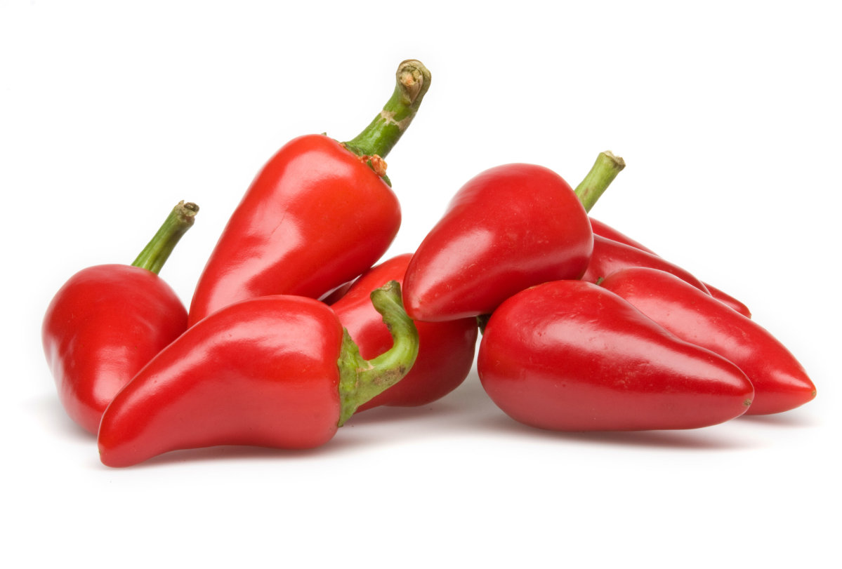 Chilli - Medium Hot Mix - Awapuni Nurseries