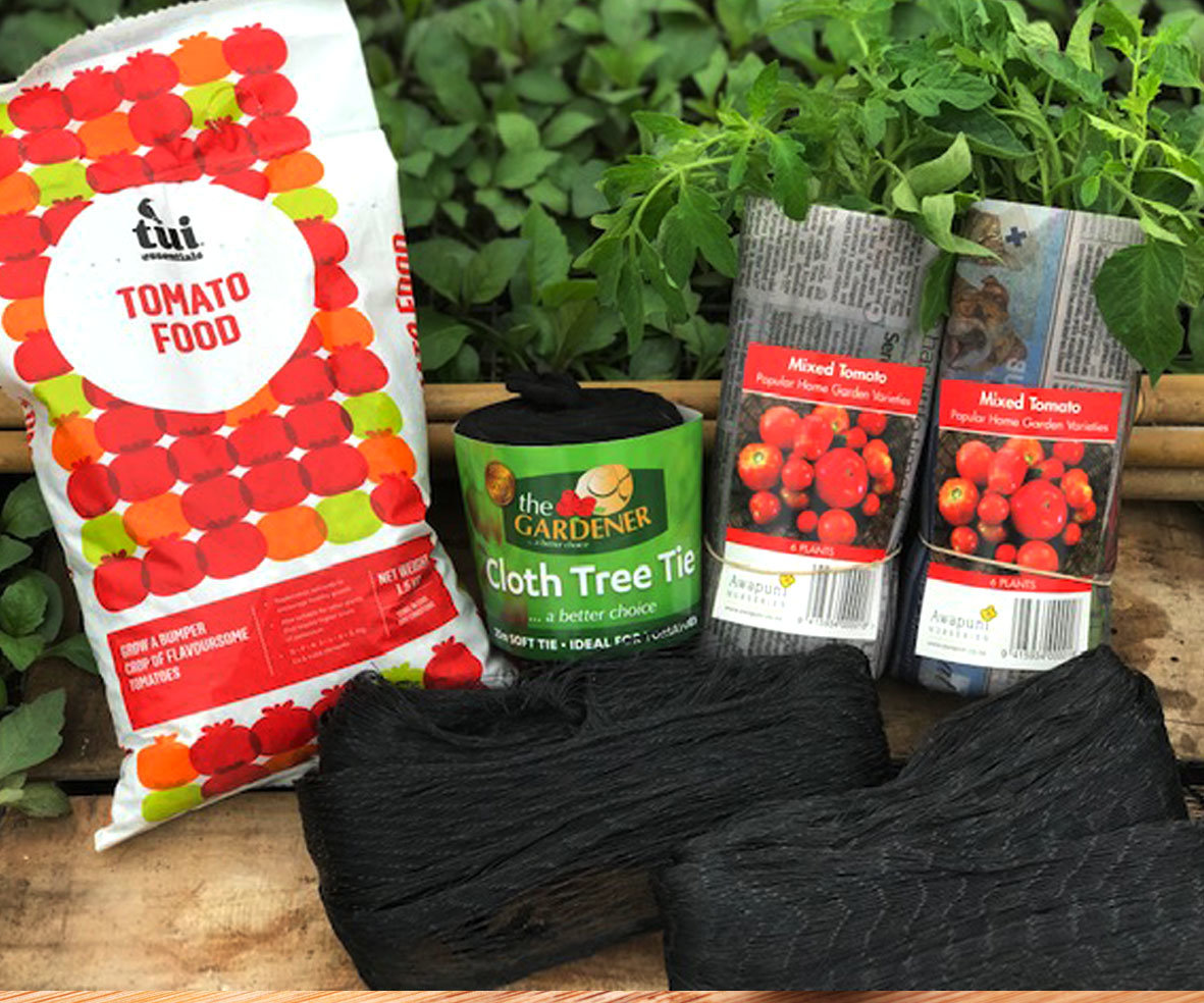 Tomato Combo 2 Awapuni Nurseries