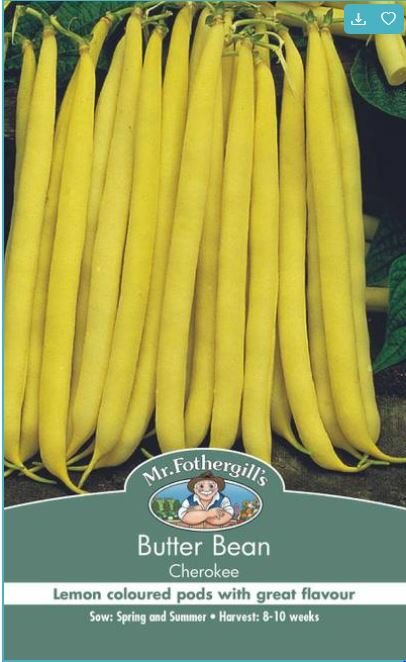 Butterbean Cherokee Seeds - Awapuni Nurseries