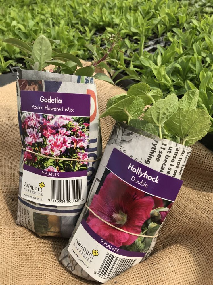 NZ’s Largest Range of Newspaper-wrapped Seedlings & Plants Nationwide ...