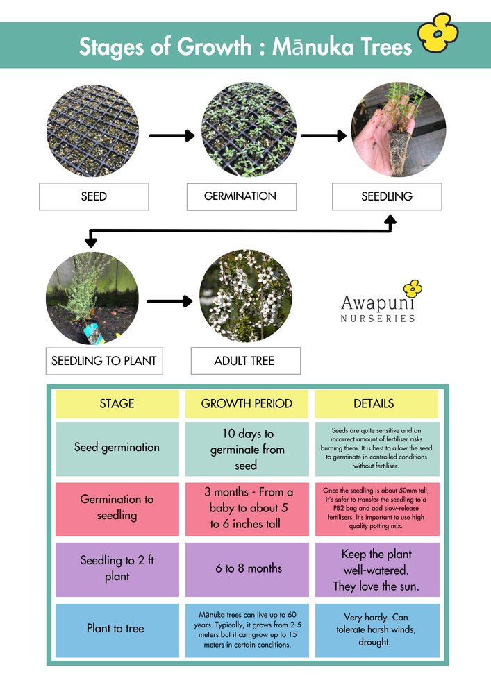 Gardening Guides | Awapuni Nurseries