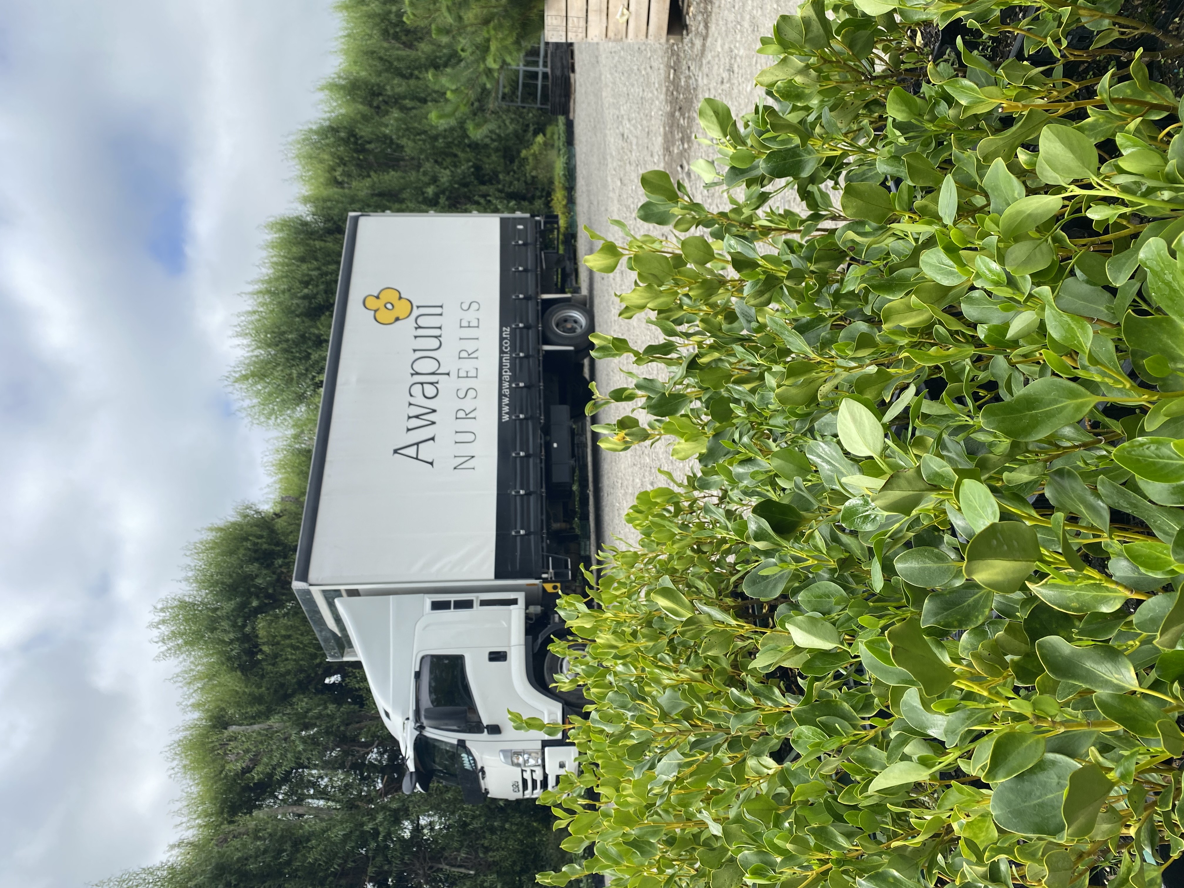 Contact Us | Awapuni Nurseries