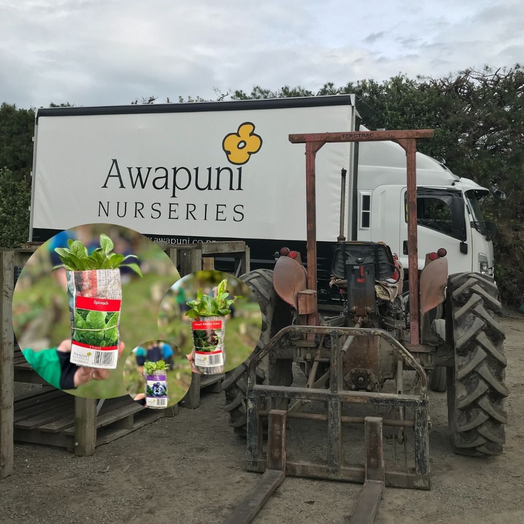 Shipping & Delivery | Awapuni Nurseries