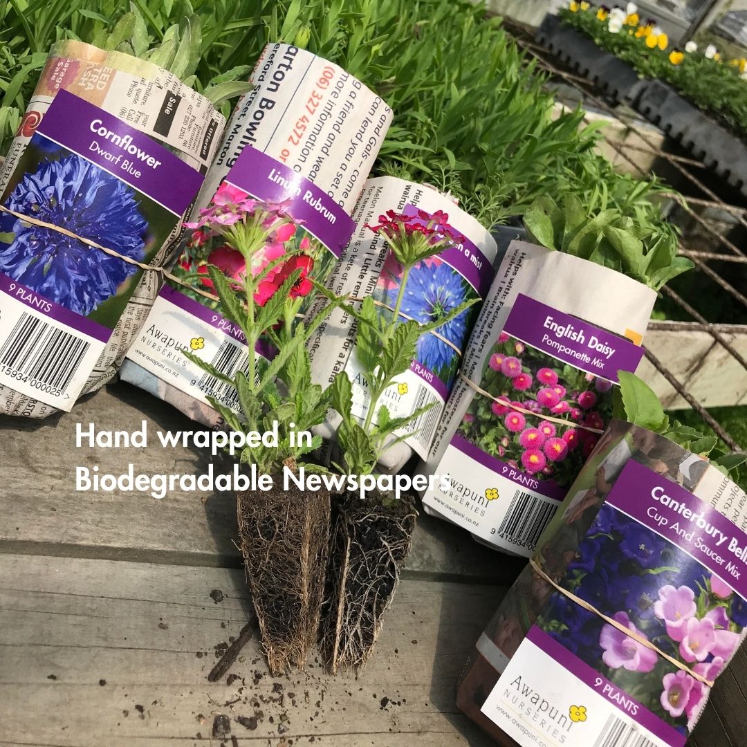 Gardening Guides | Awapuni Nurseries