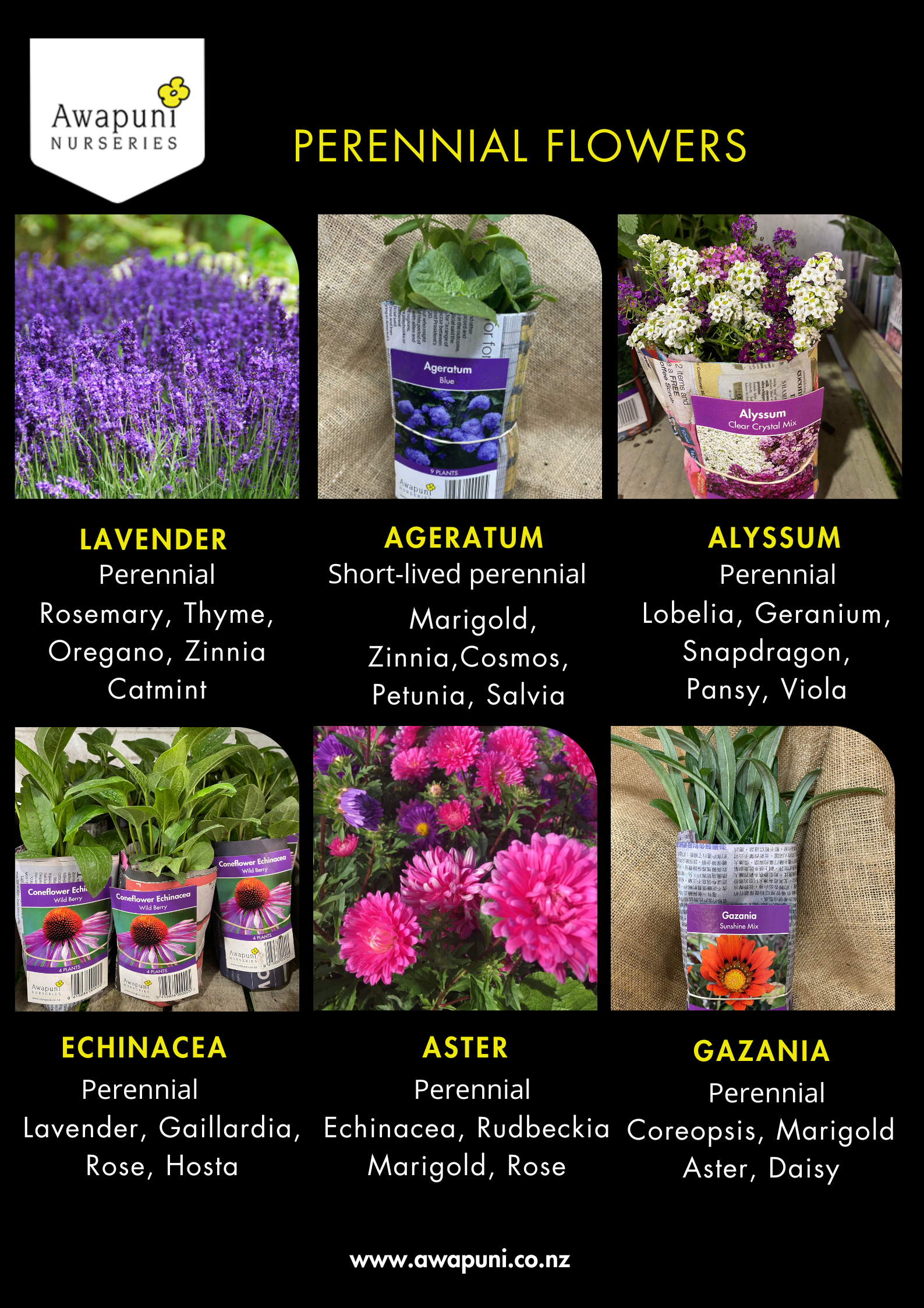 Gardening Guides | Awapuni Nurseries